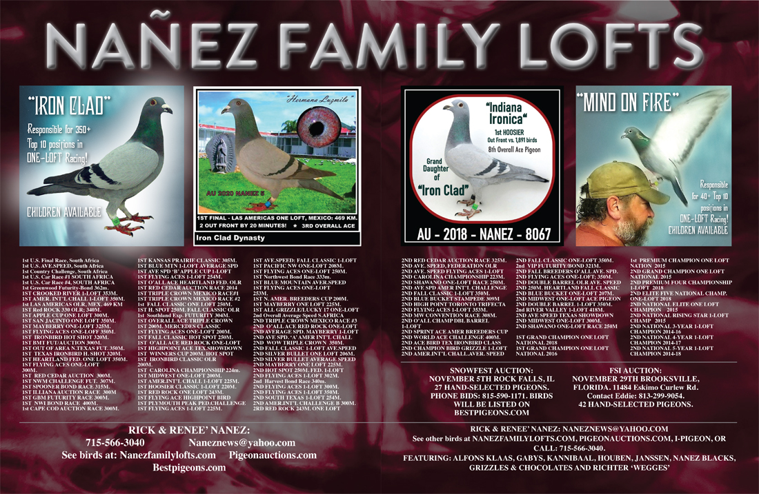 iPigeon.com - Racing Pigeon Auction