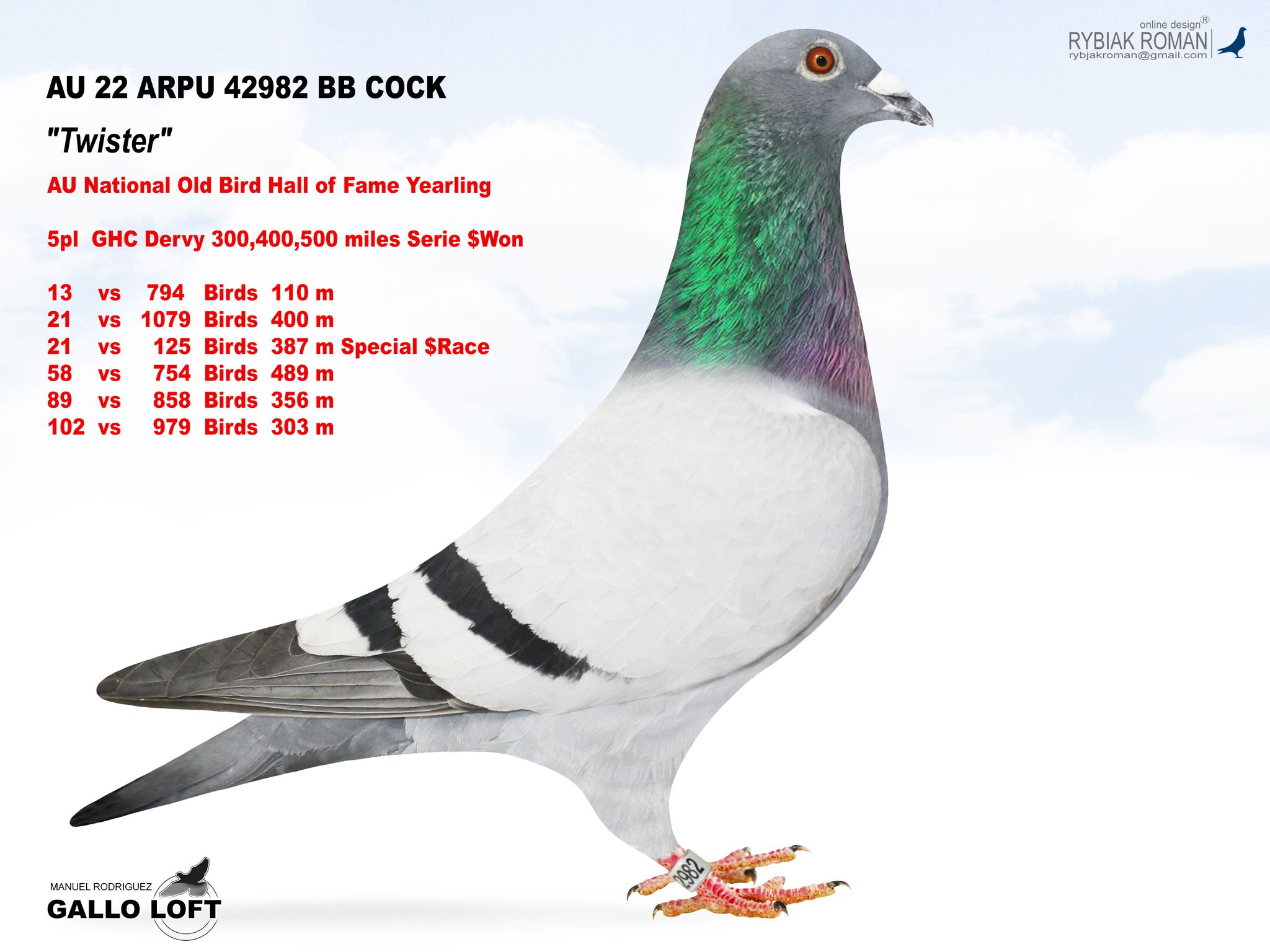 iPigeon.com - Racing Pigeon Auction