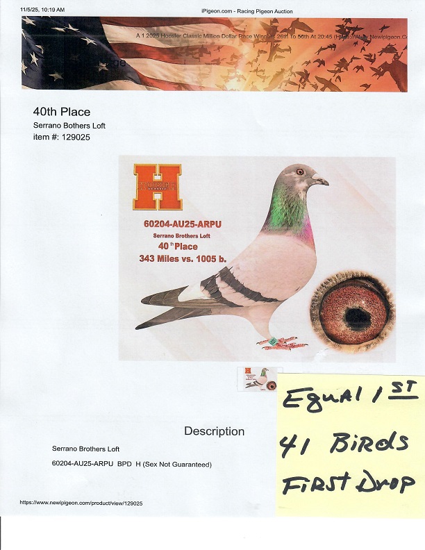 iPigeon.com - Racing Pigeon Auction