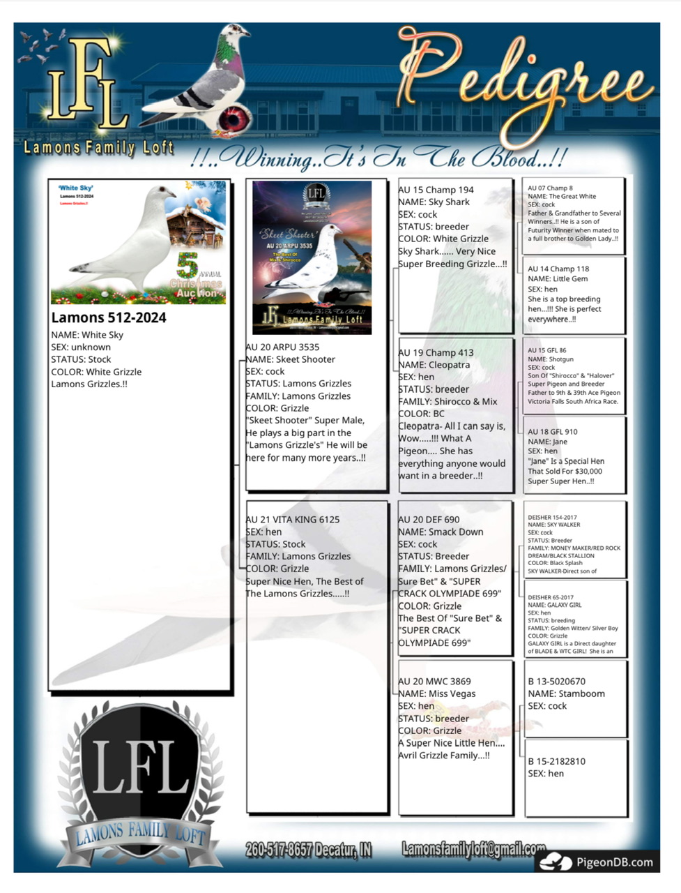 iPigeon.com - Racing Pigeon Auction