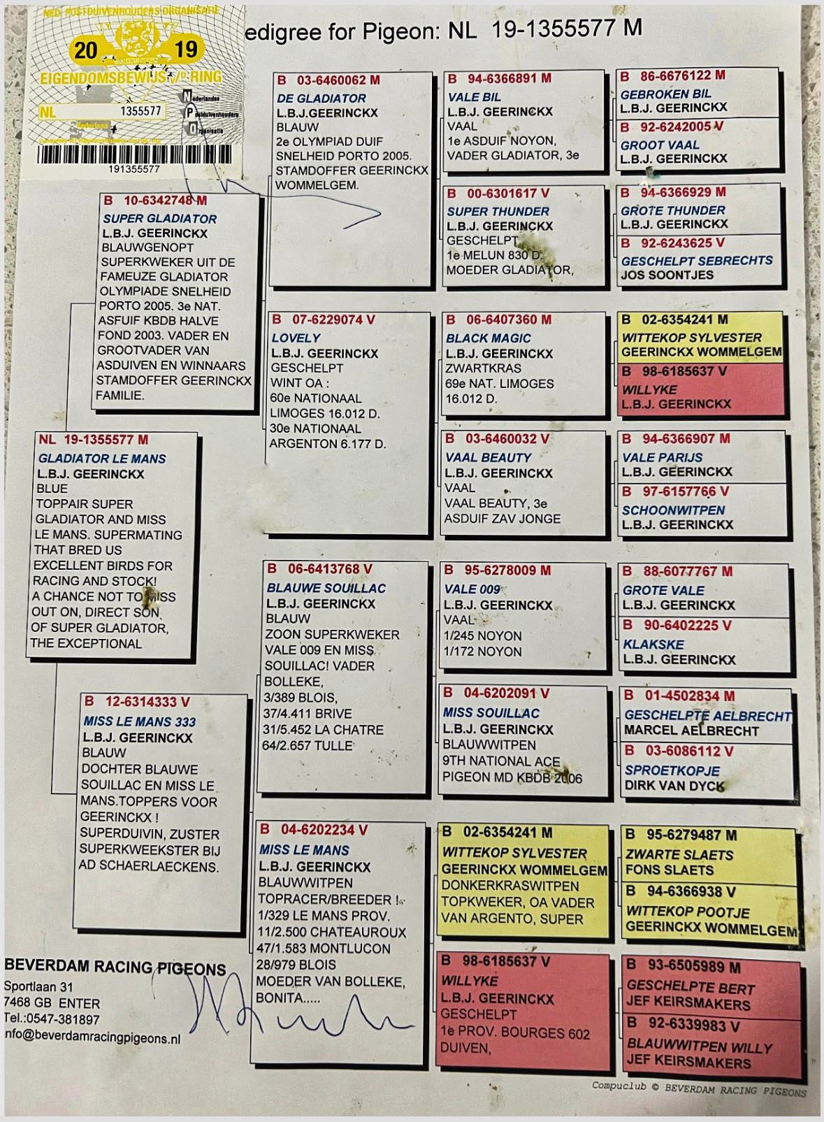 iPigeon.com - Racing Pigeon Auction