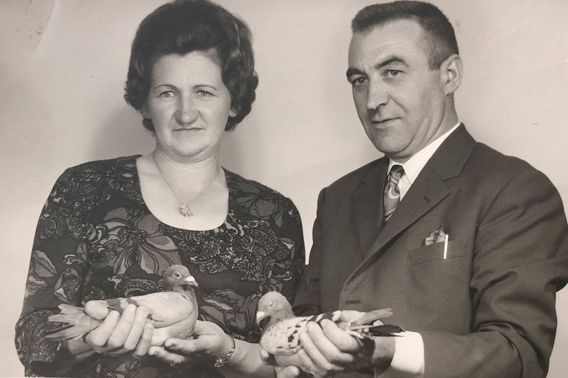 iPigeon.com - Racing Pigeon Auction