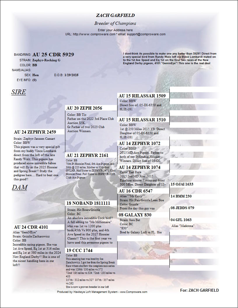 iPigeon.com - Racing Pigeon Auction