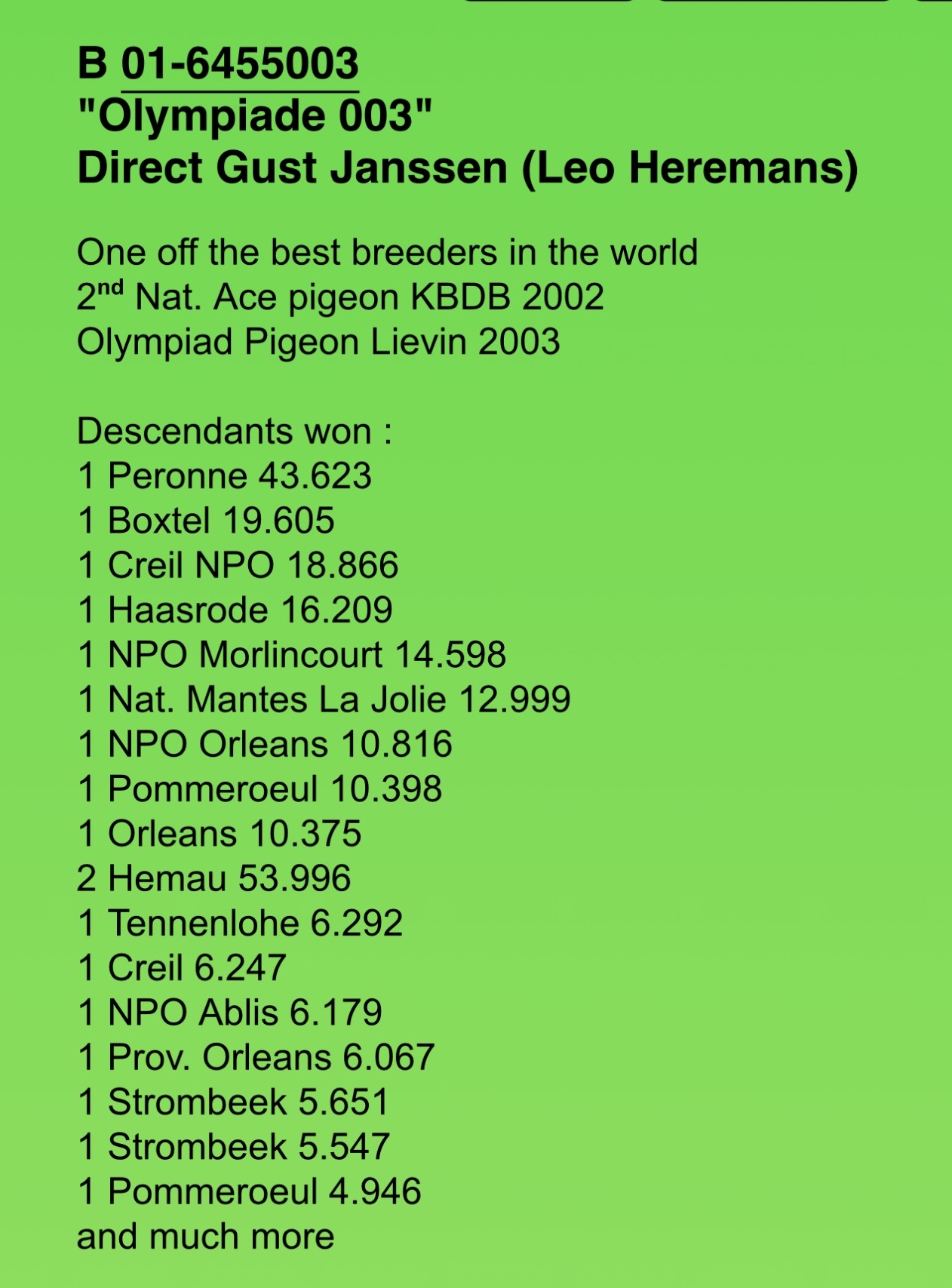 iPigeon.com - Racing Pigeon Auction