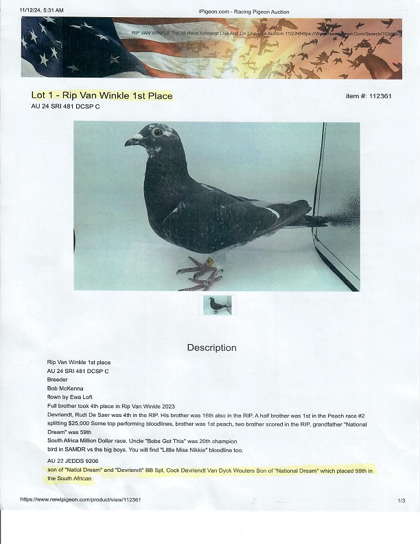 iPigeon.com - Racing Pigeon Auction