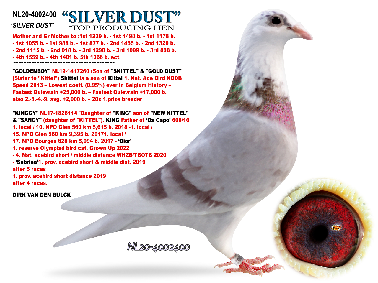 iPigeon.com - Racing Pigeon Auction