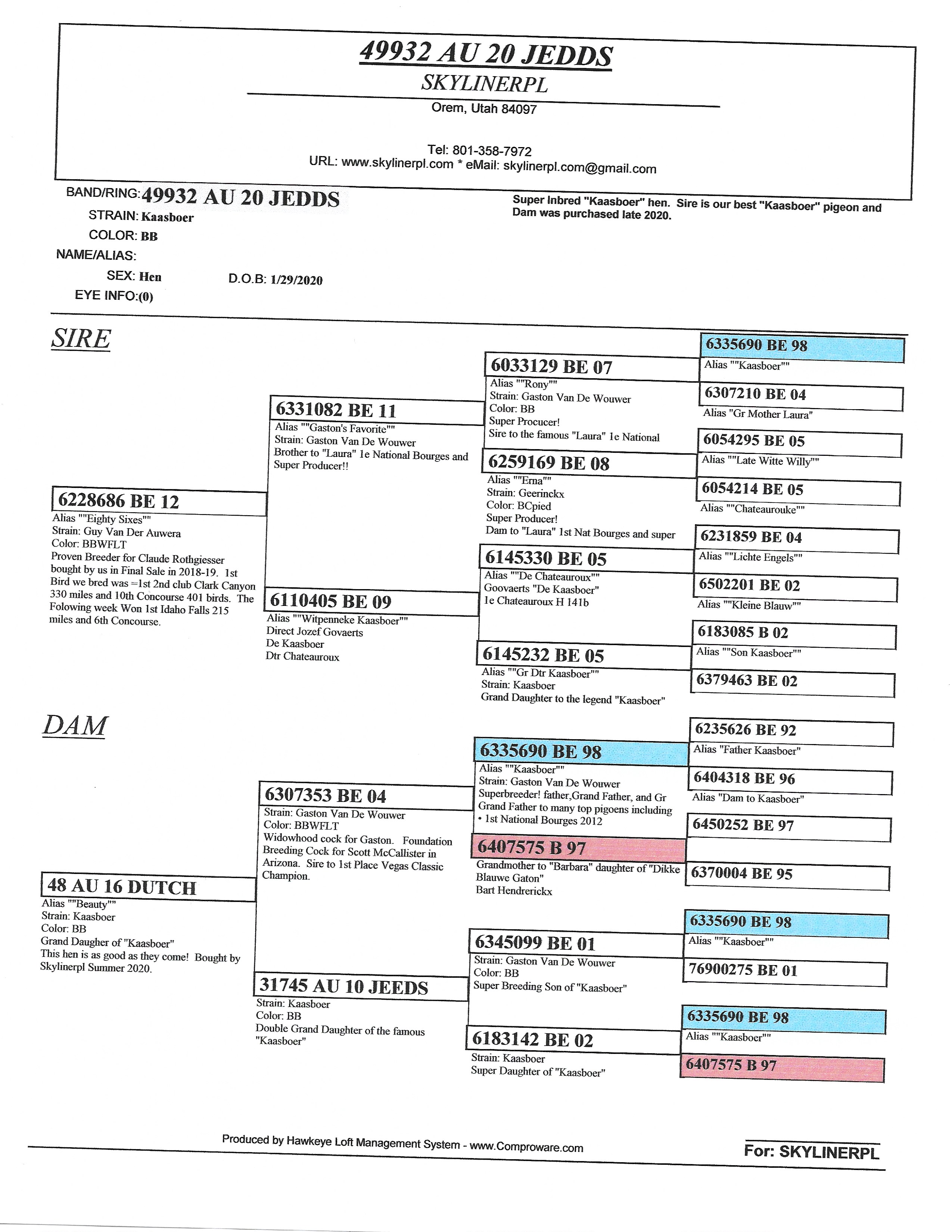iPigeon.com - Racing Pigeon Auction