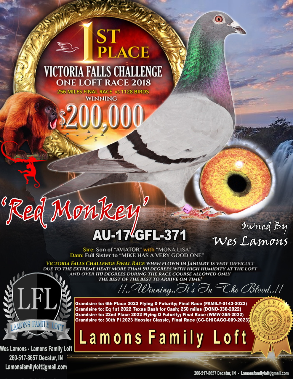 iPigeon.com - Racing Pigeon Auction