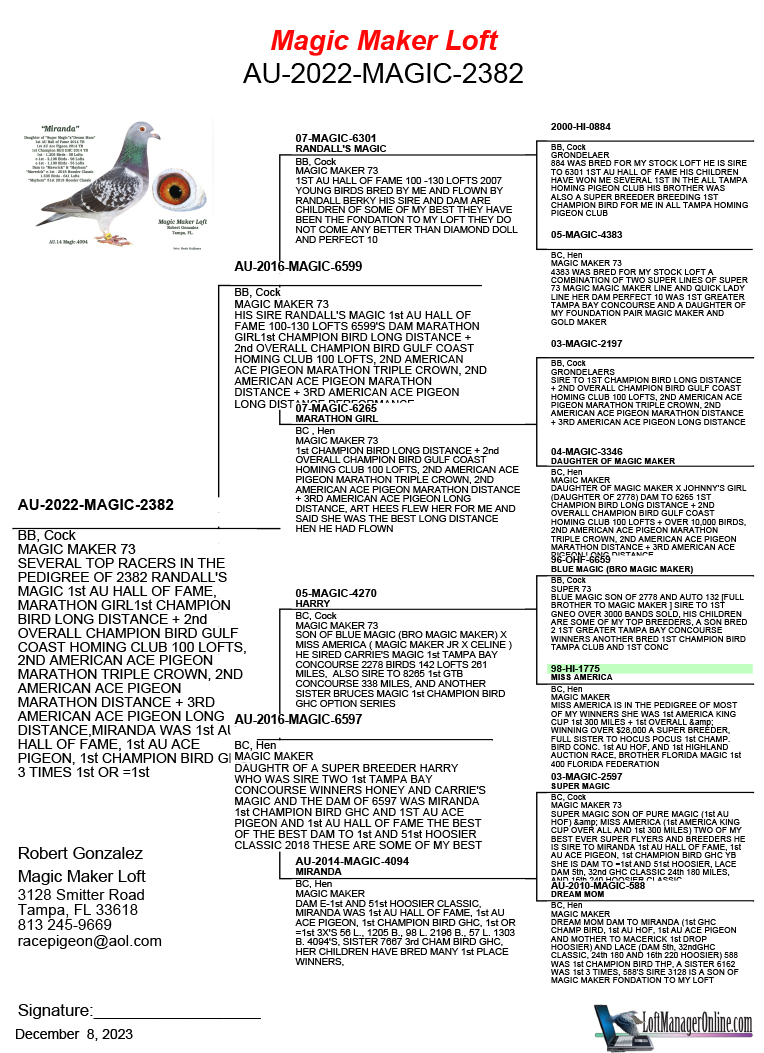 iPigeon.com - Racing Pigeon Auction