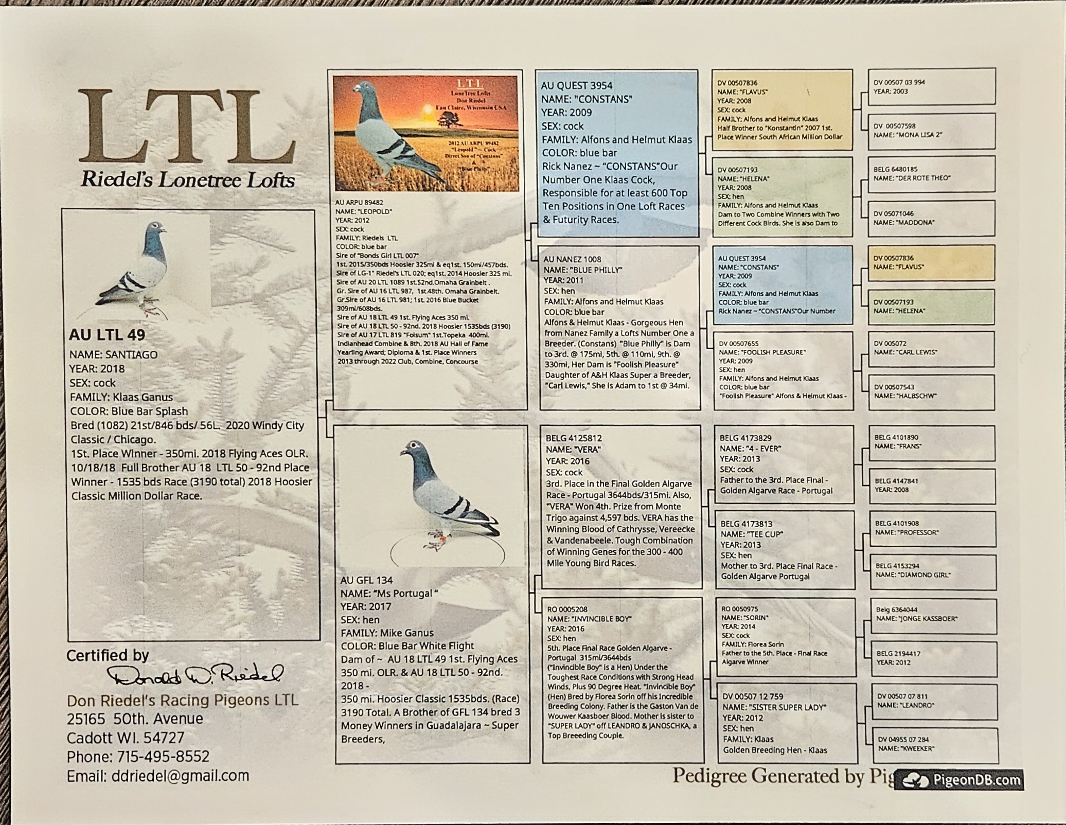 iPigeon.com - Racing Pigeon Auction