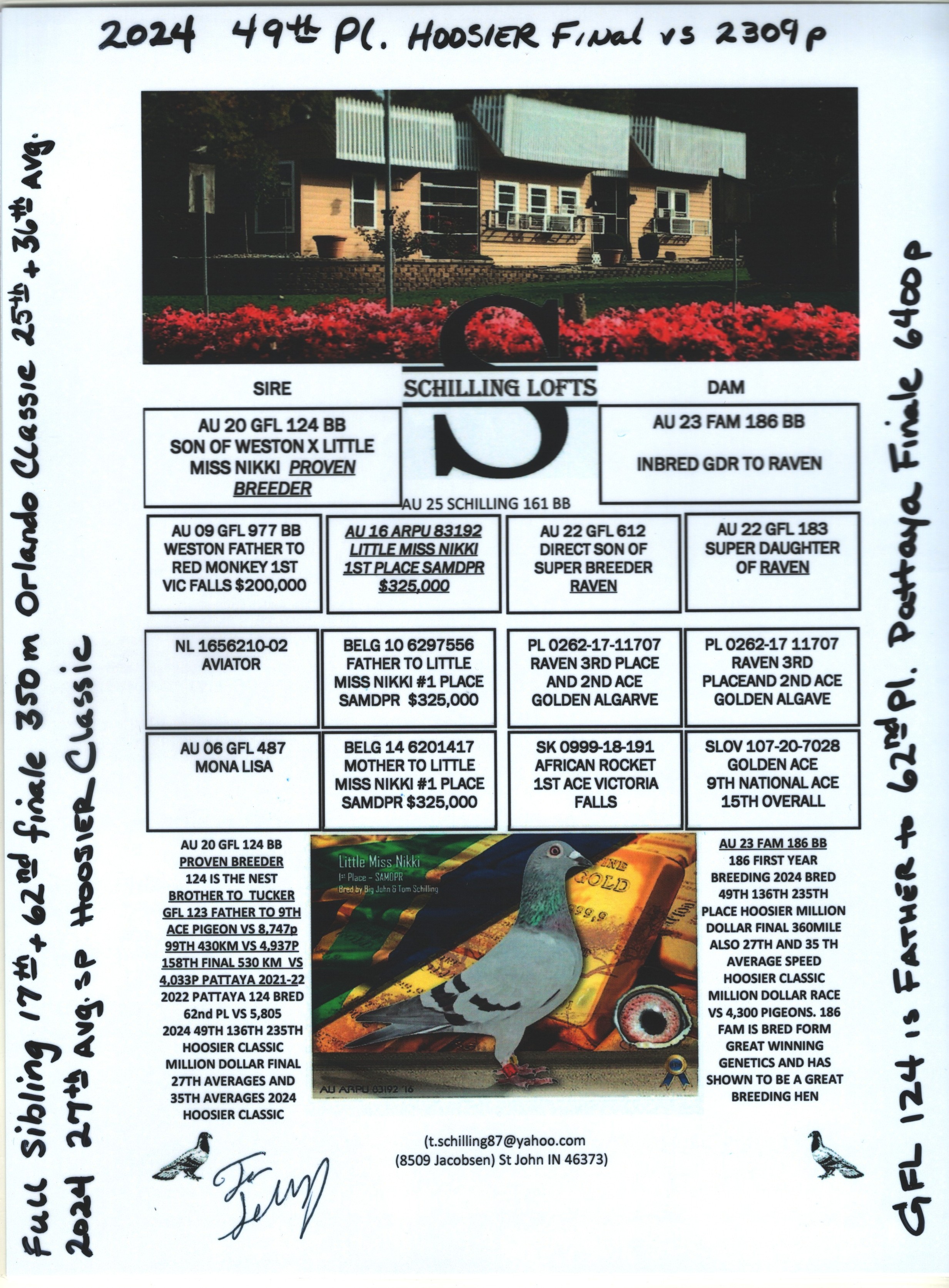 iPigeon.com - Racing Pigeon Auction