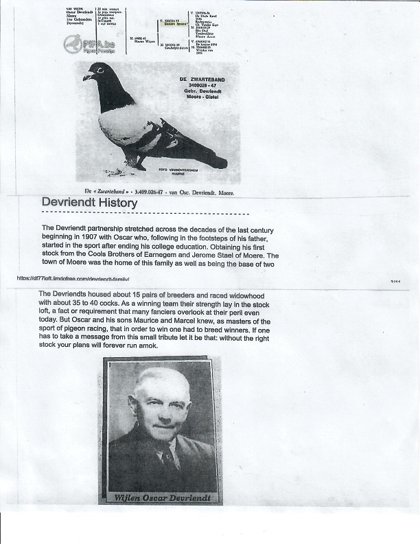 iPigeon.com - Racing Pigeon Auction
