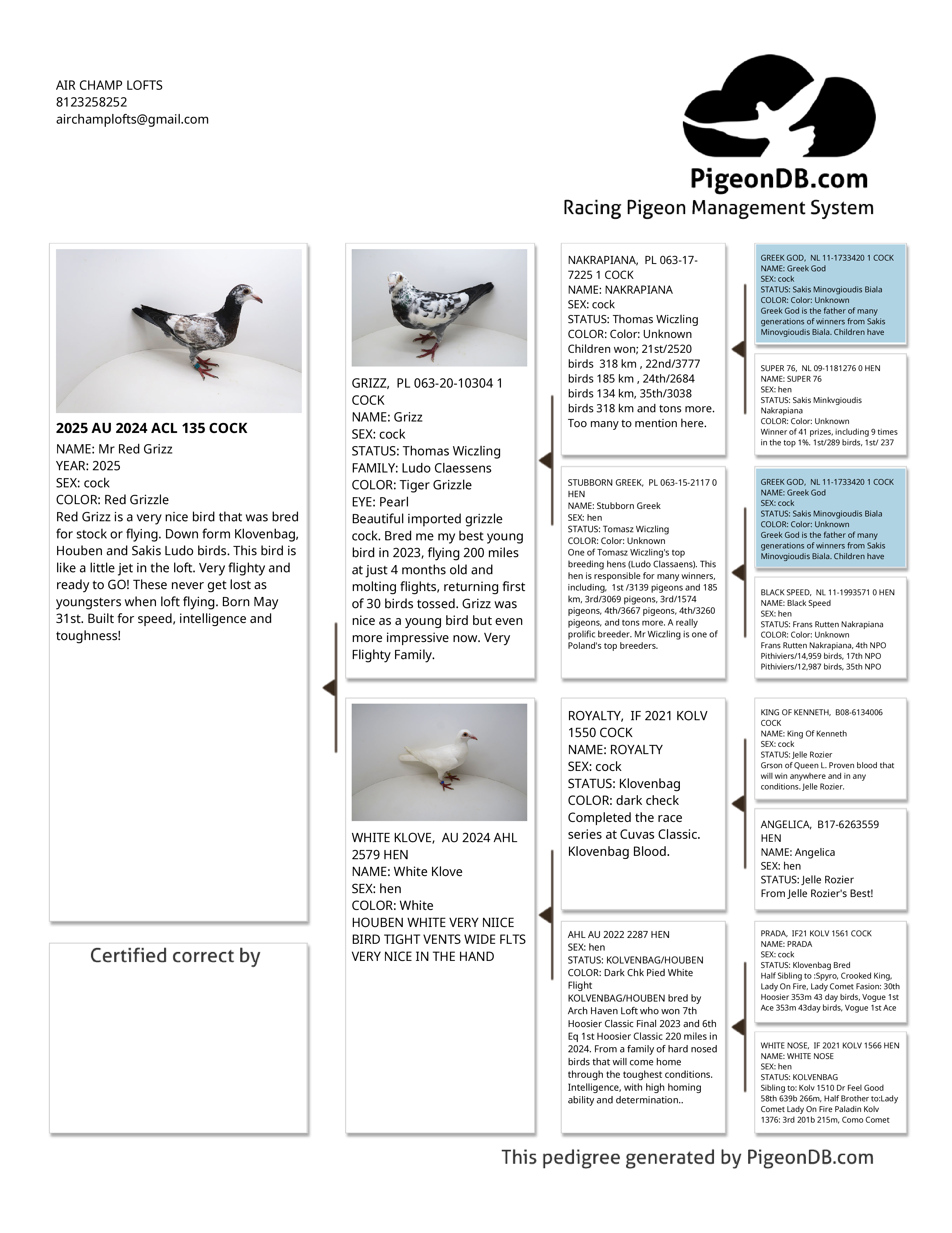 iPigeon.com - Racing Pigeon Auction