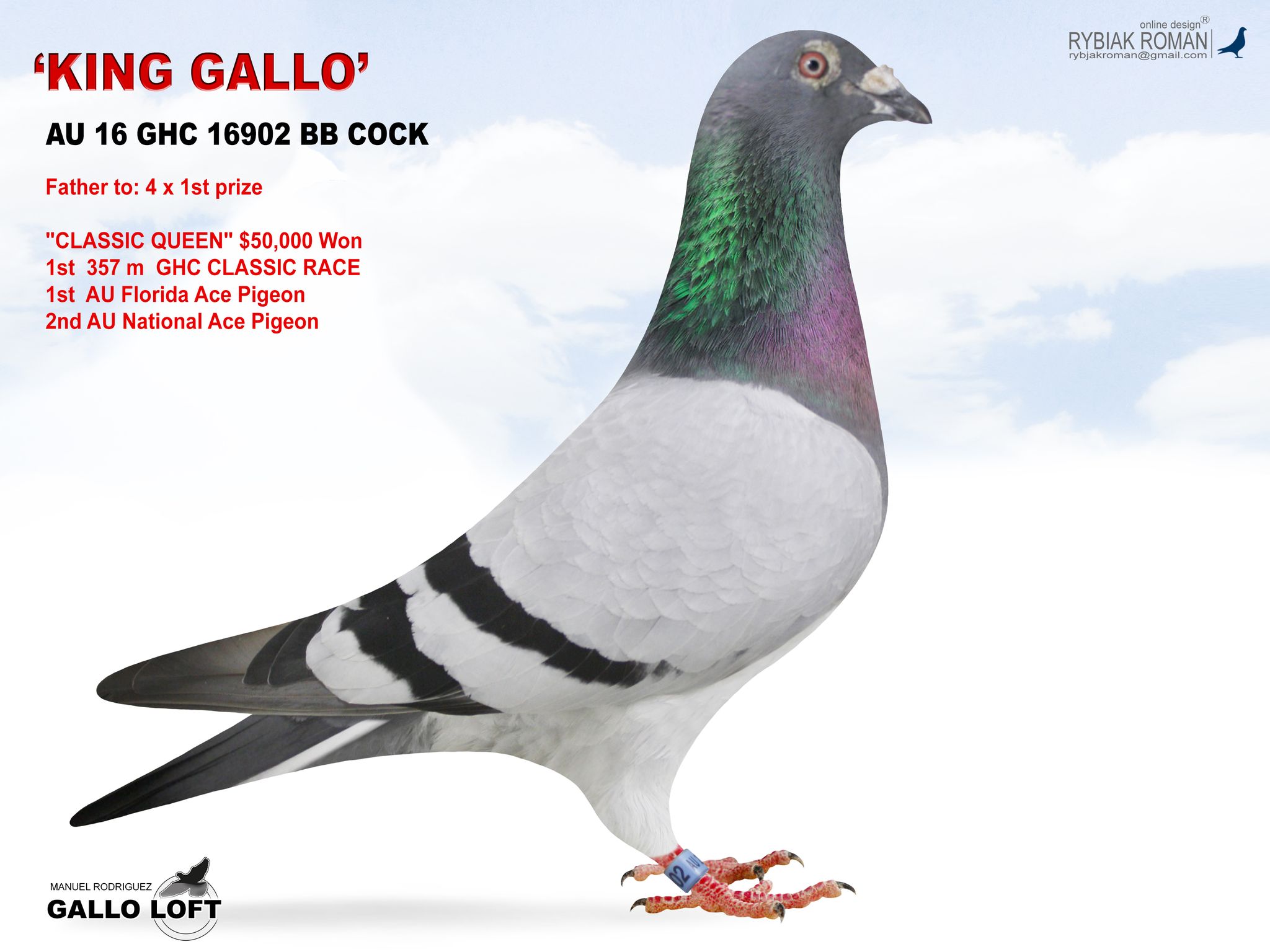 iPigeon.com - Racing Pigeon Auction