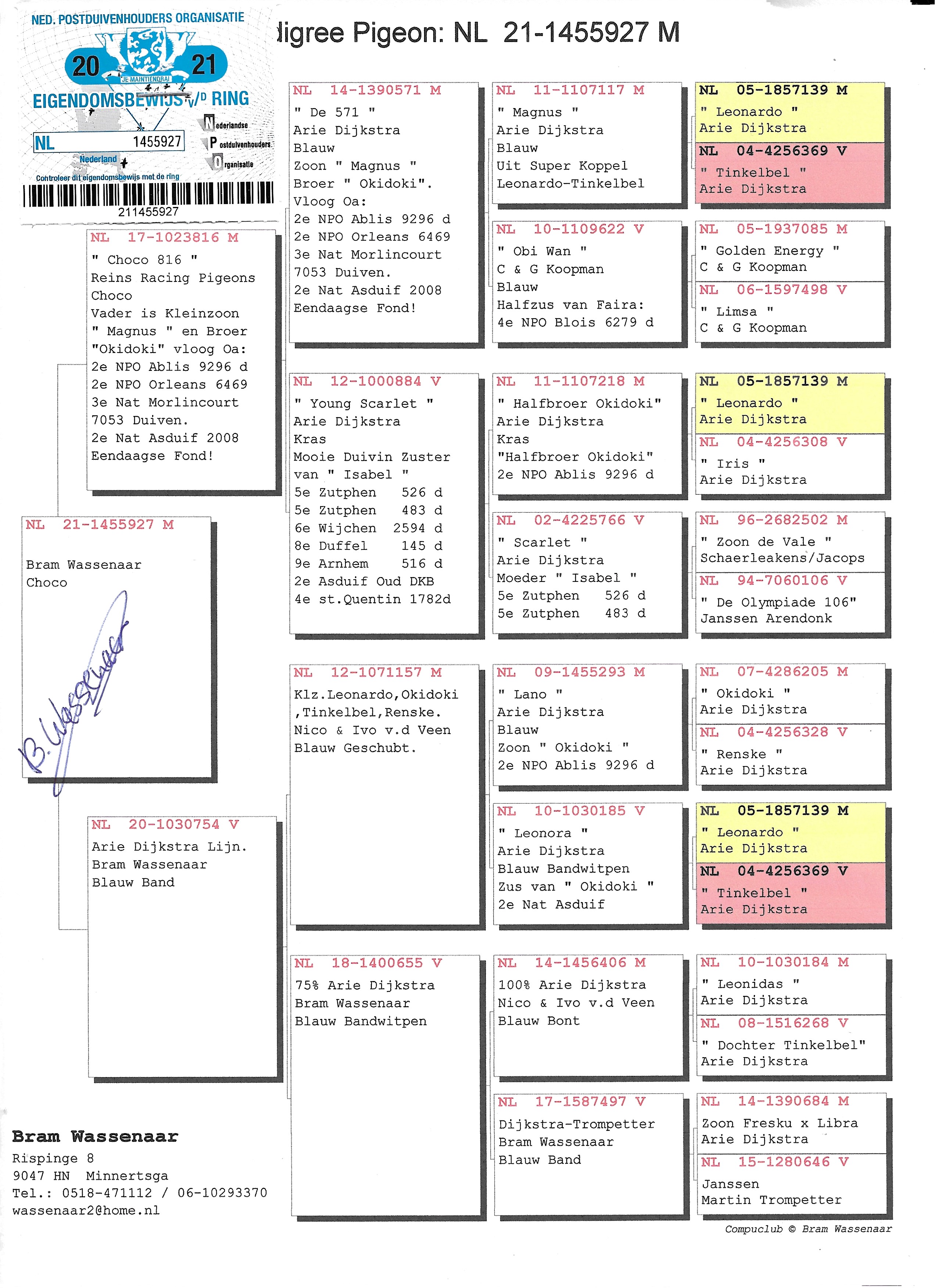 iPigeon.com - Racing Pigeon Auction