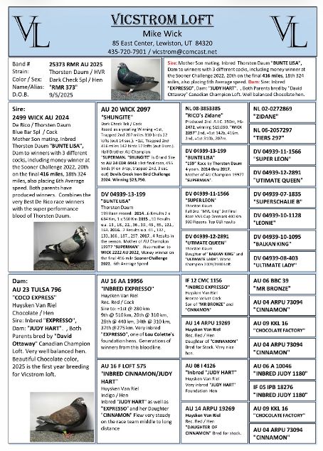 iPigeon.com - Racing Pigeon Auction