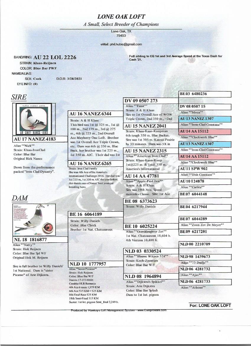 iPigeon.com - Racing Pigeon Auction