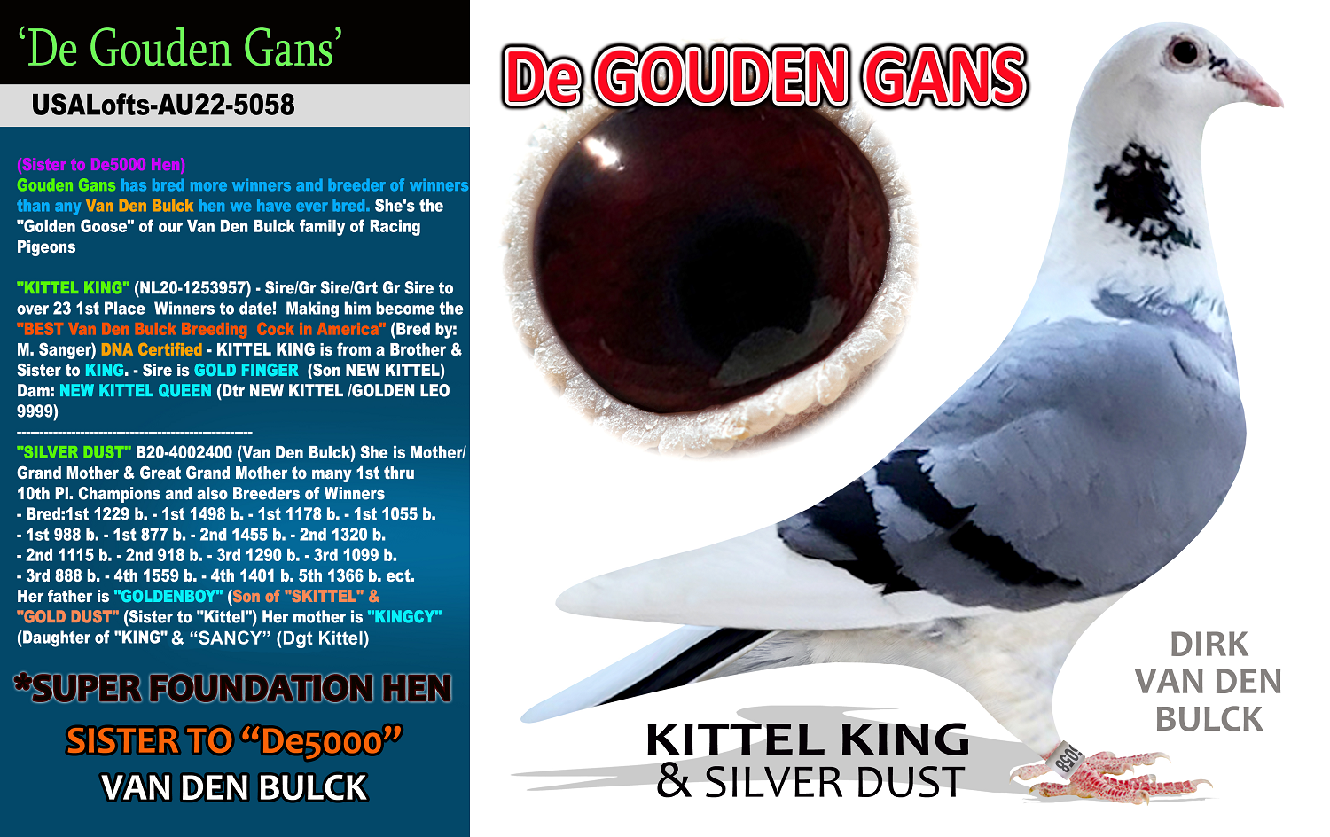 iPigeon.com - Racing Pigeon Auction
