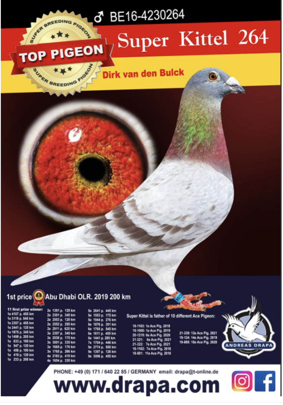 iPigeon.com - Racing Pigeon Auction