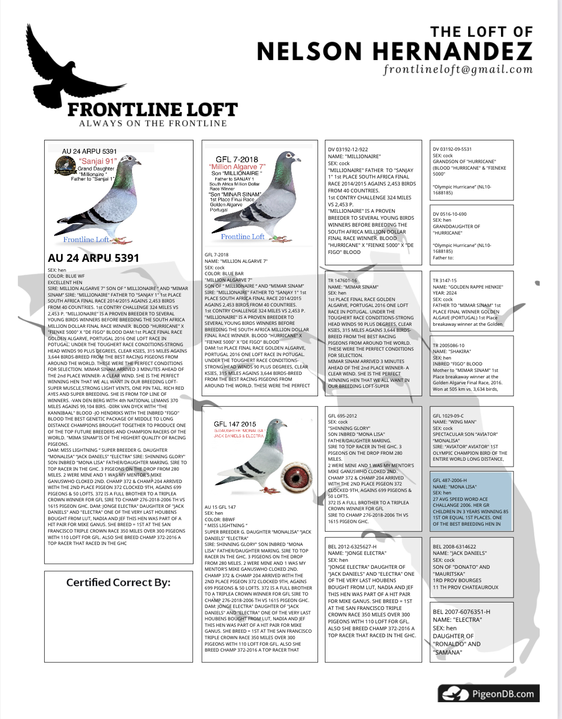 IPigeon Racing Pigeon Auction ipigeon-racing-pigeon-auction