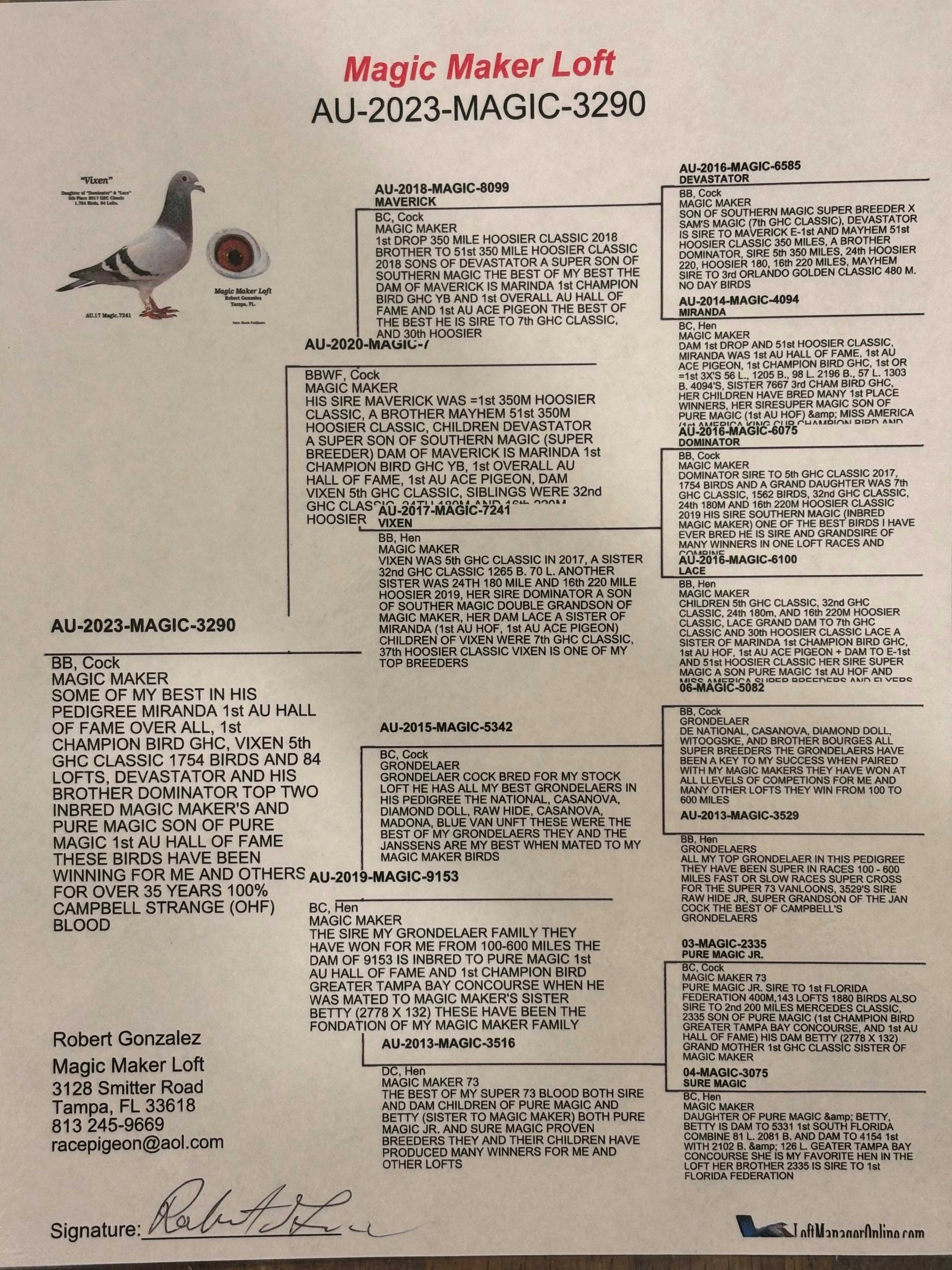 iPigeon.com - Racing Pigeon Auction