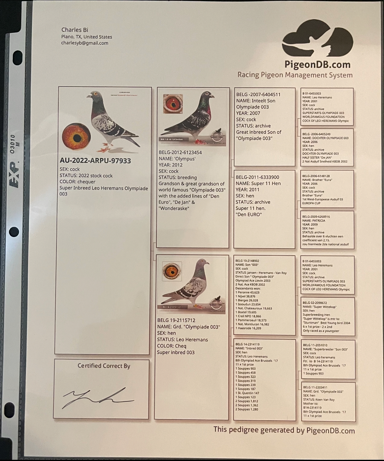 iPigeon.com - Racing Pigeon Auction