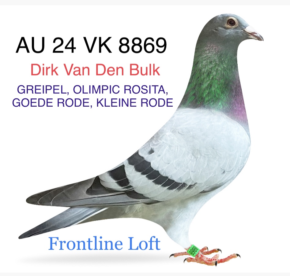 iPigeon.com - Racing Pigeon Auction