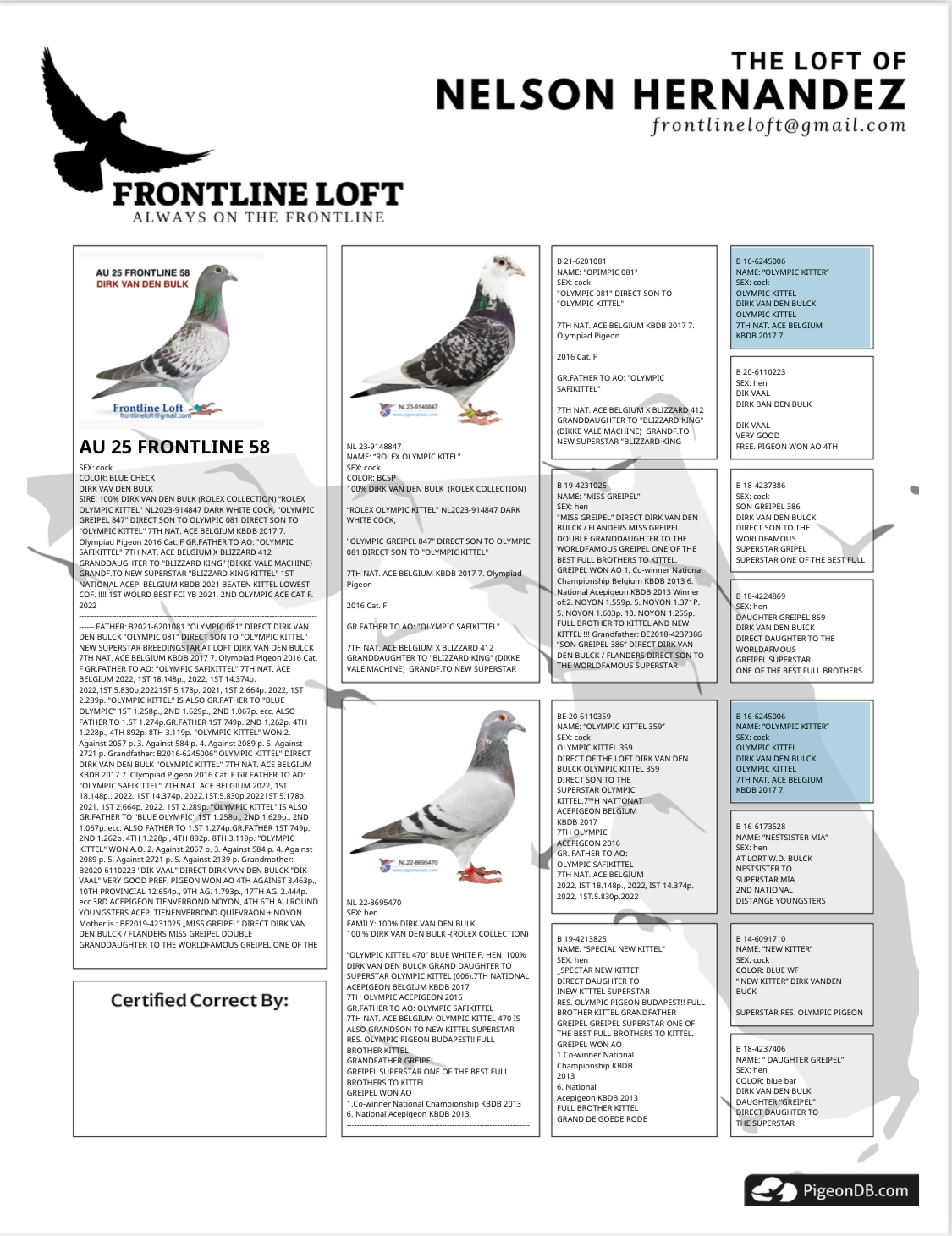 iPigeon.com - Racing Pigeon Auction
