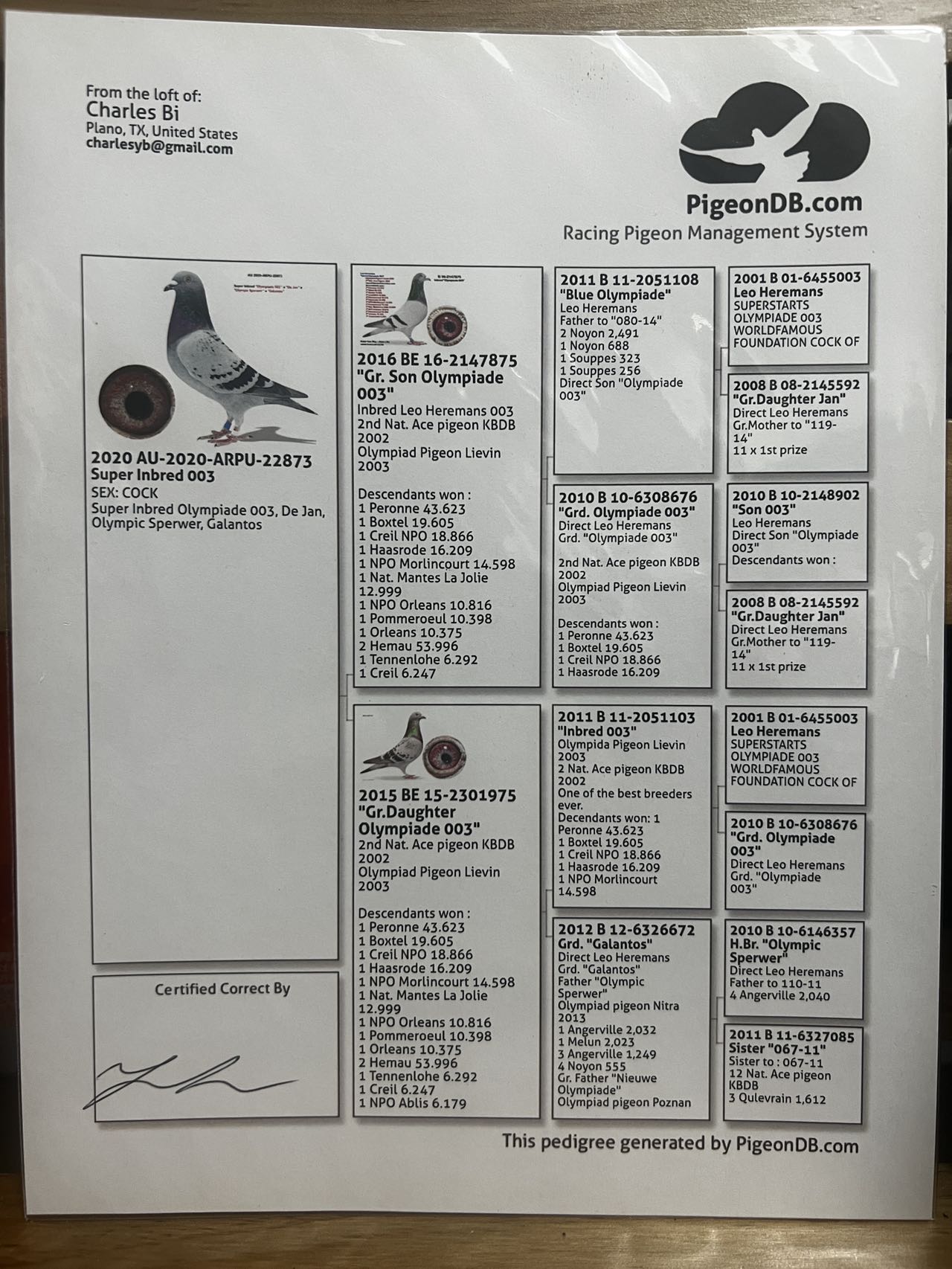 iPigeon.com - Racing Pigeon Auction
