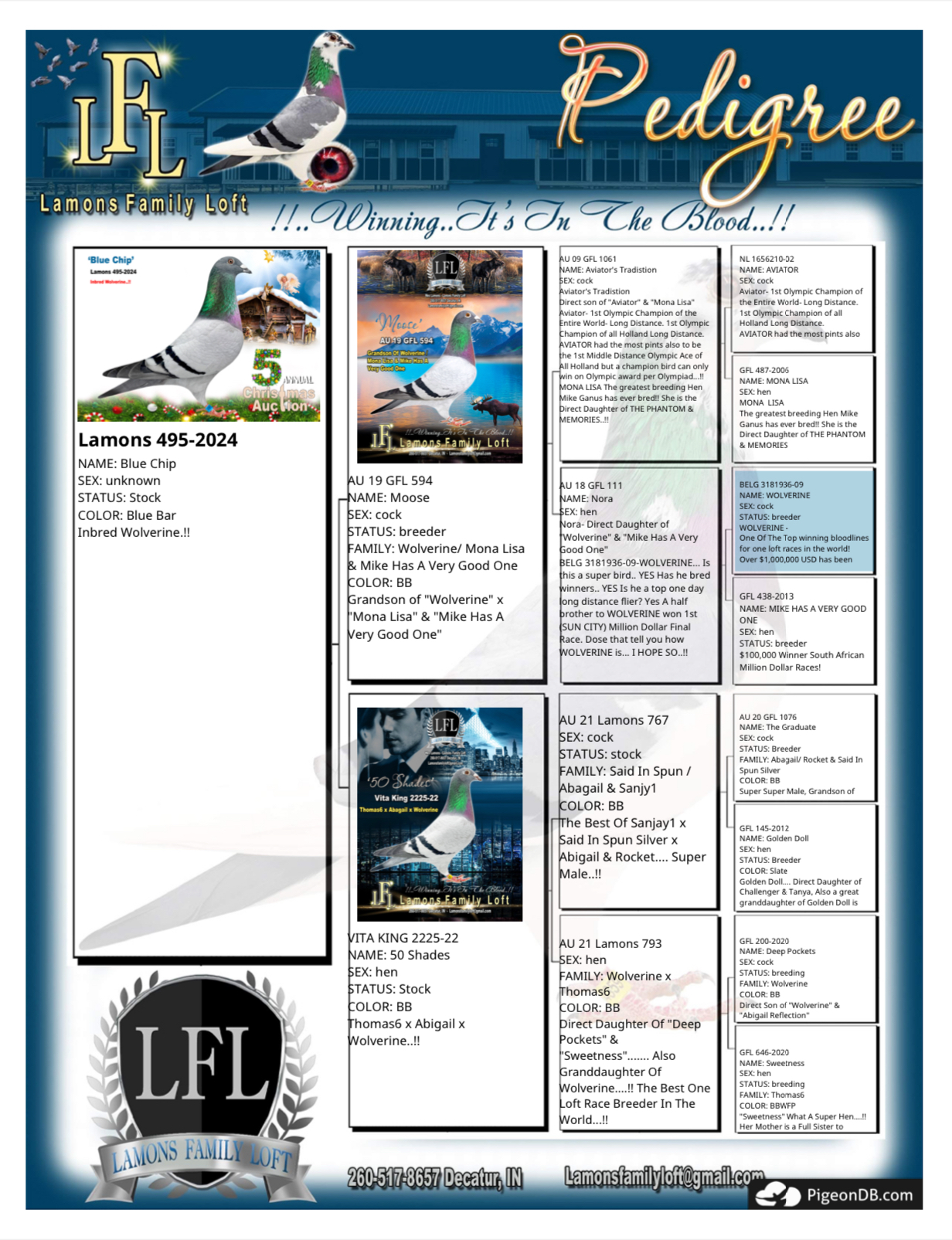 iPigeon.com - Racing Pigeon Auction