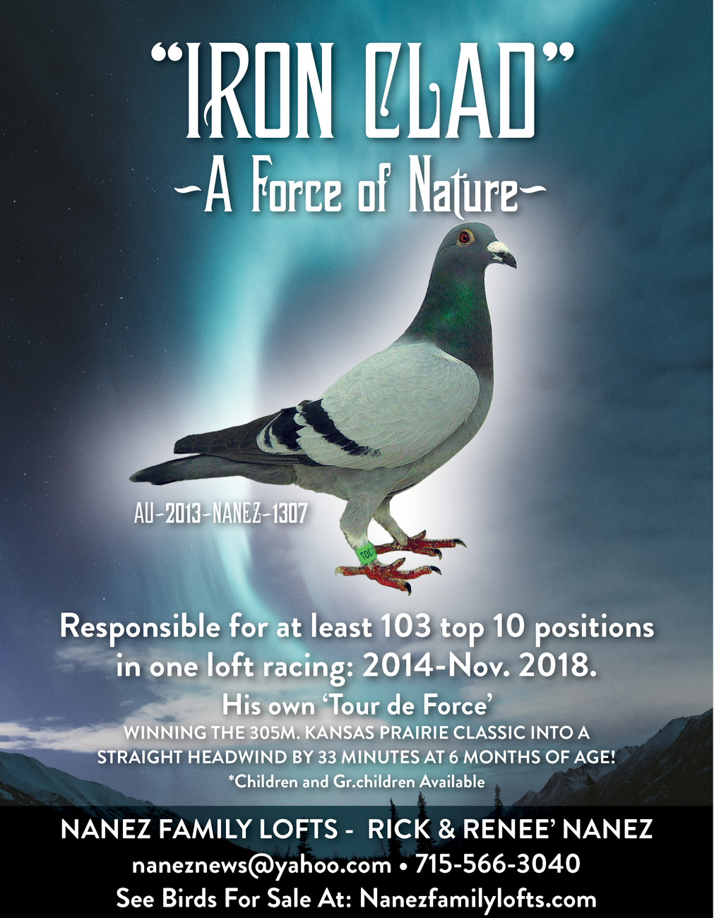 iPigeon.com - Racing Pigeon Auction