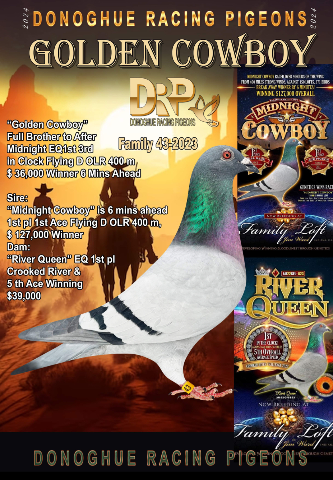 iPigeon.com - Racing Pigeon Auction