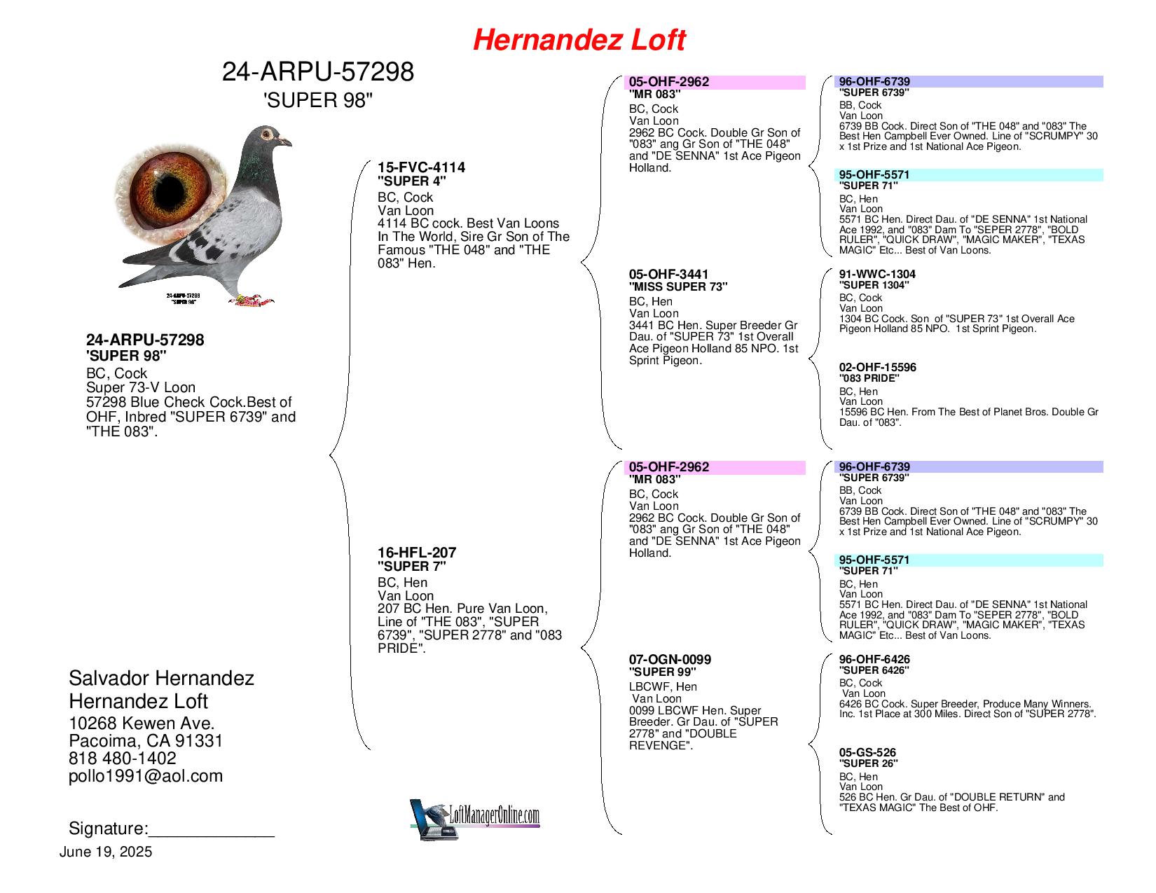 iPigeon.com - Racing Pigeon Auction