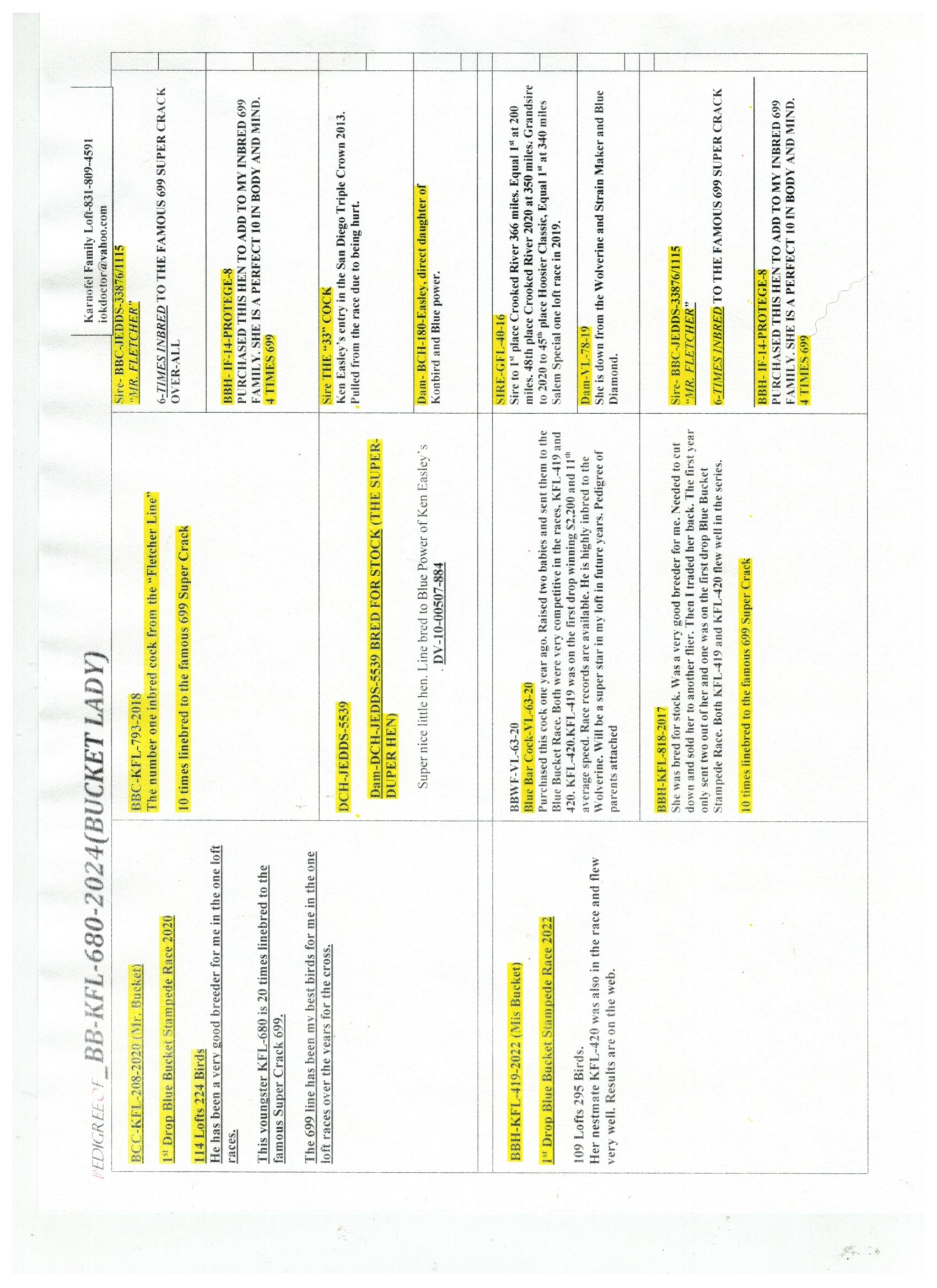 iPigeon.com - Racing Pigeon Auction