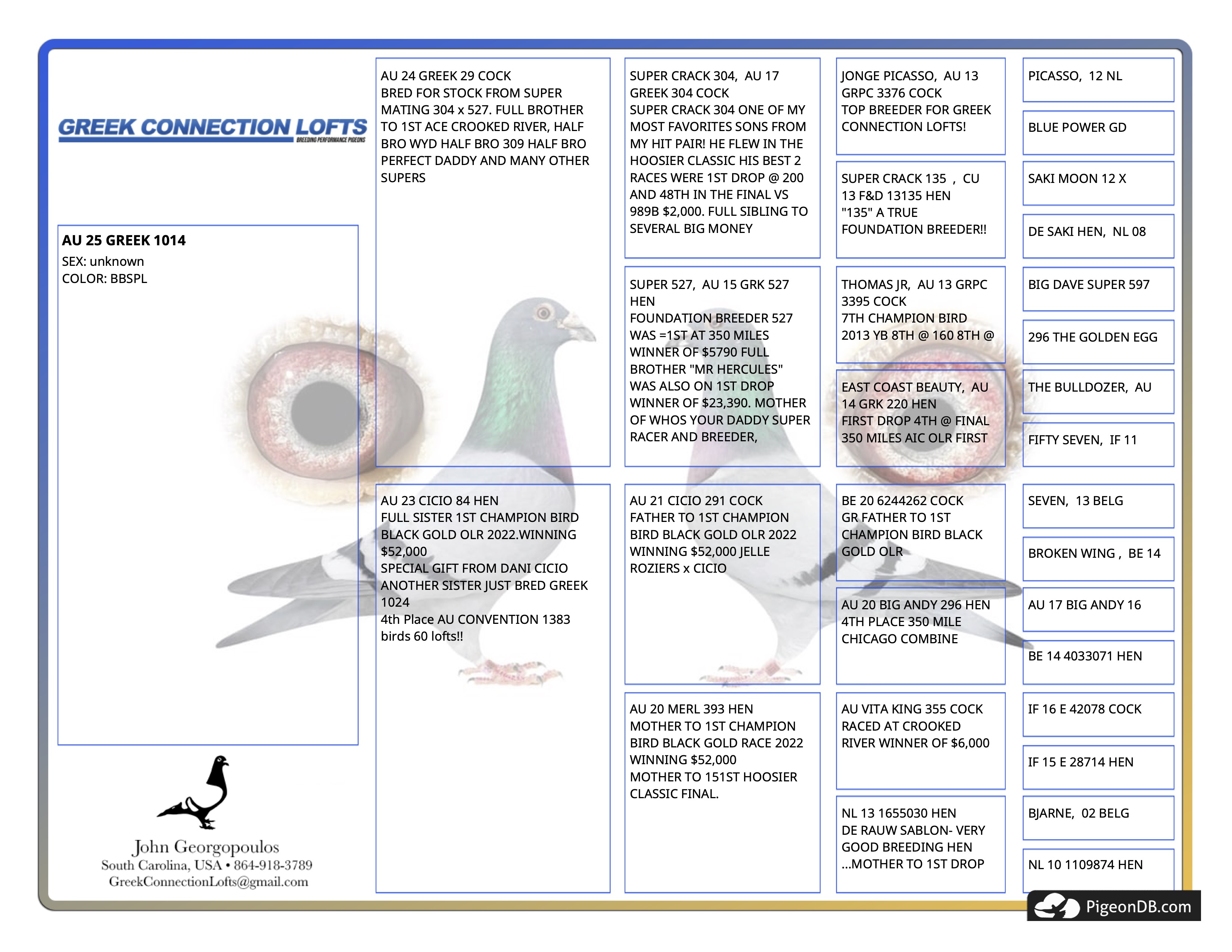 iPigeon.com - Racing Pigeon Auction