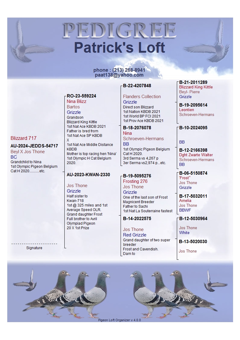 iPigeon.com - Racing Pigeon Auction