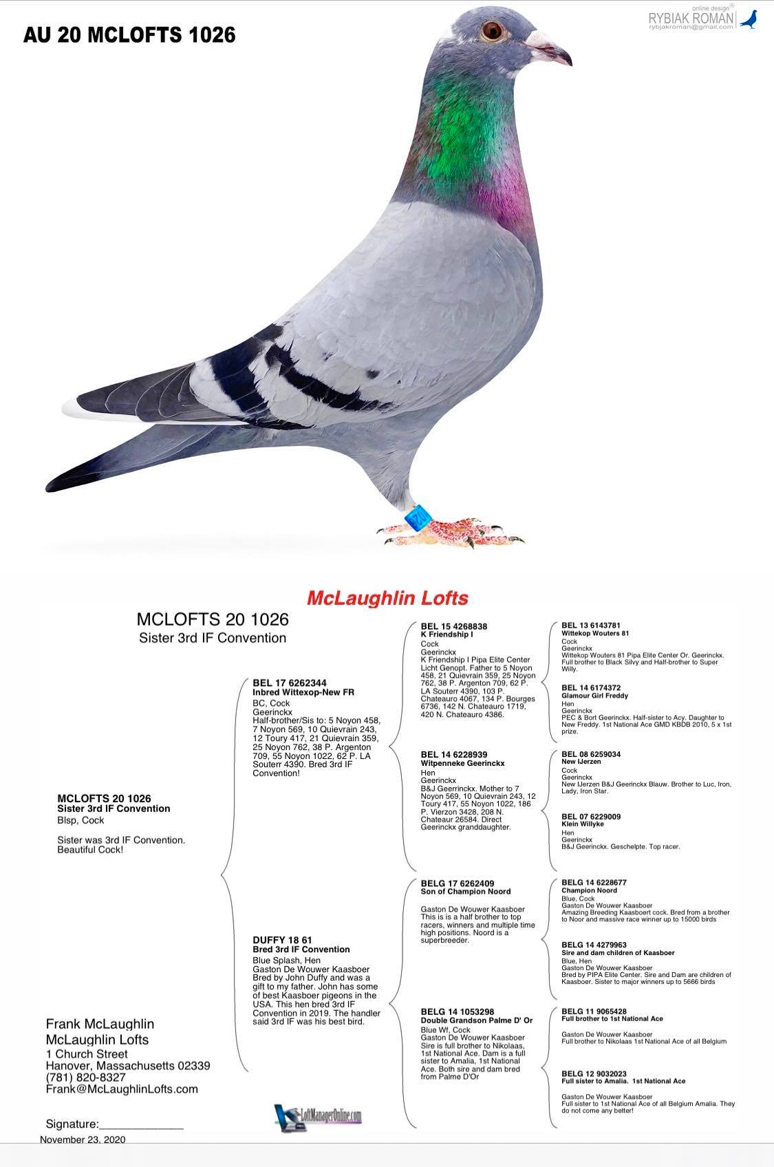 iPigeon.com - Racing Pigeon Auction