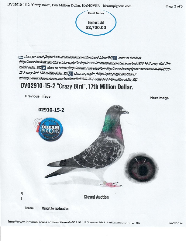 iPigeon.com - Racing Pigeon Auction