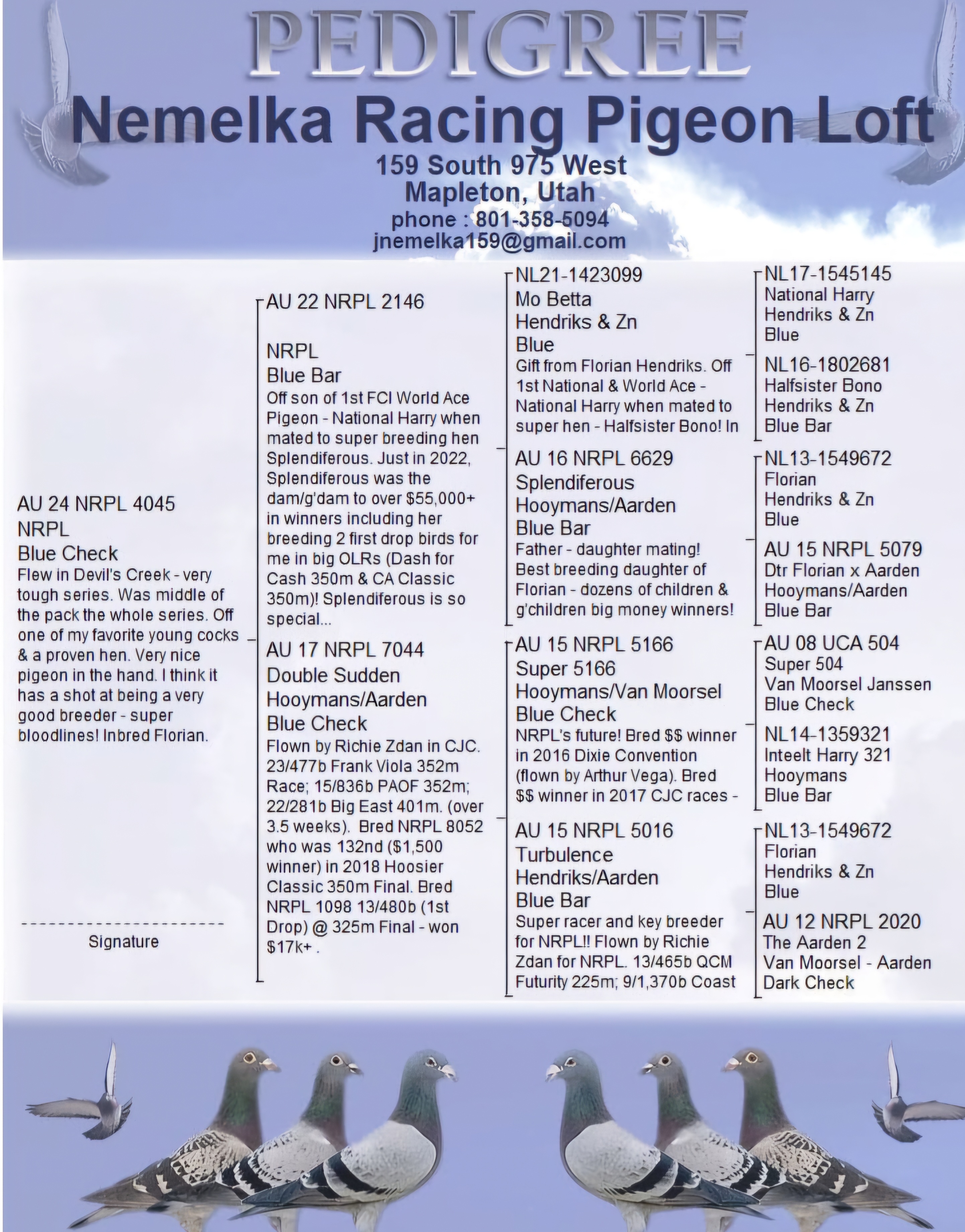 iPigeon.com - Racing Pigeon Auction