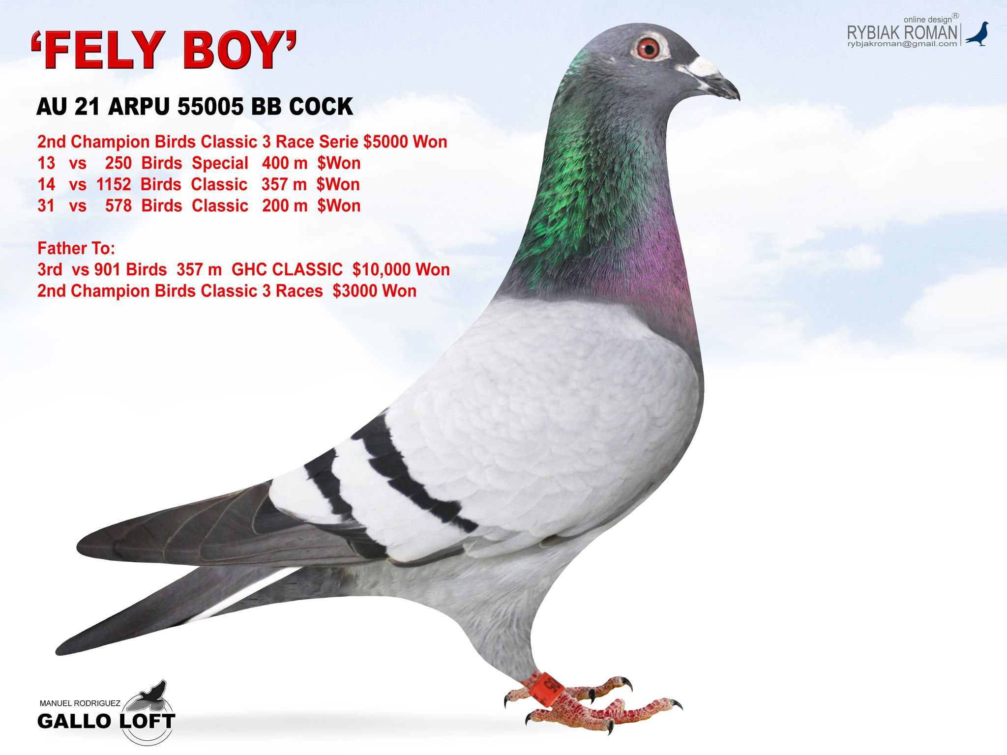 iPigeon.com - Racing Pigeon Auction