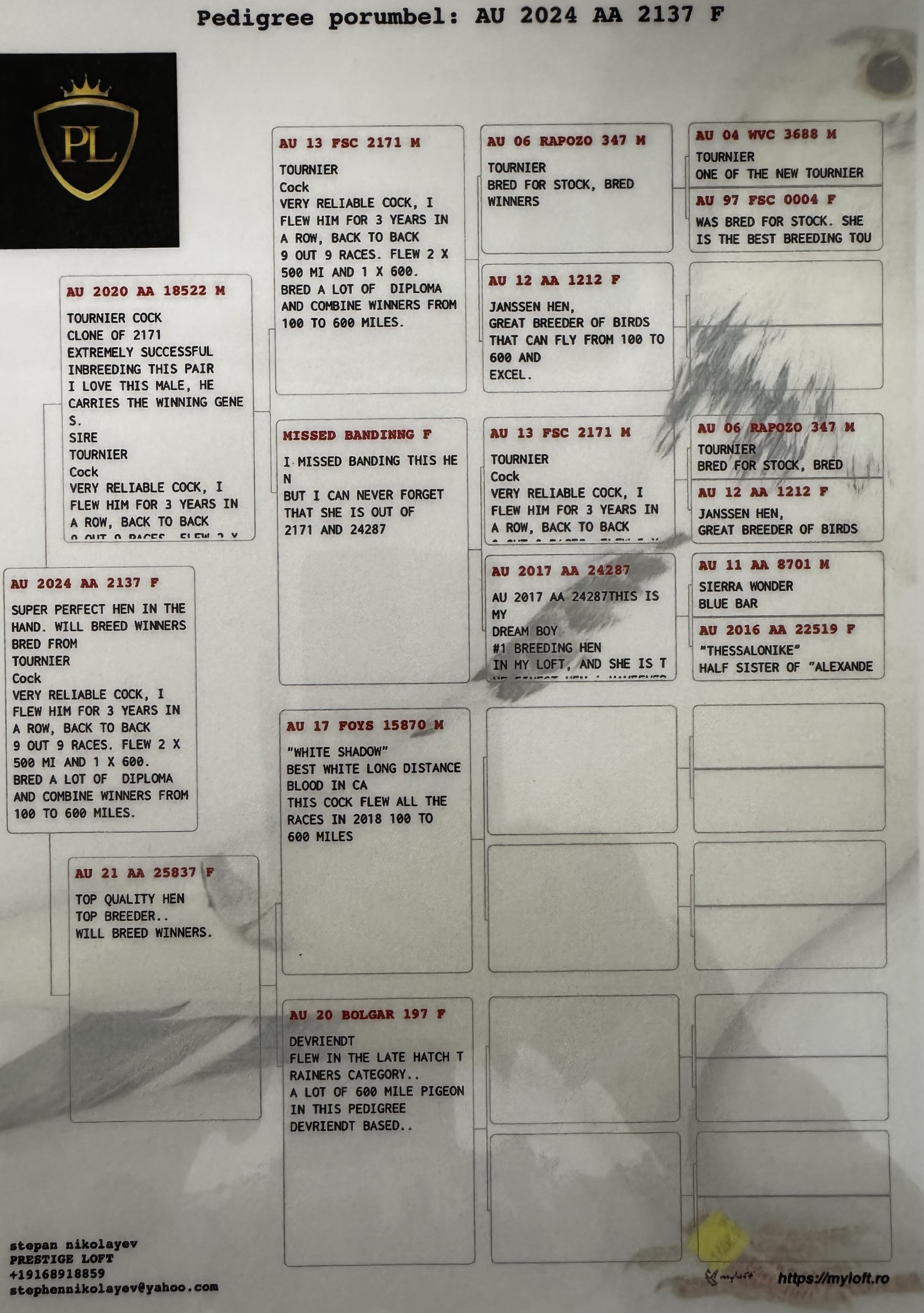 iPigeon.com - Racing Pigeon Auction