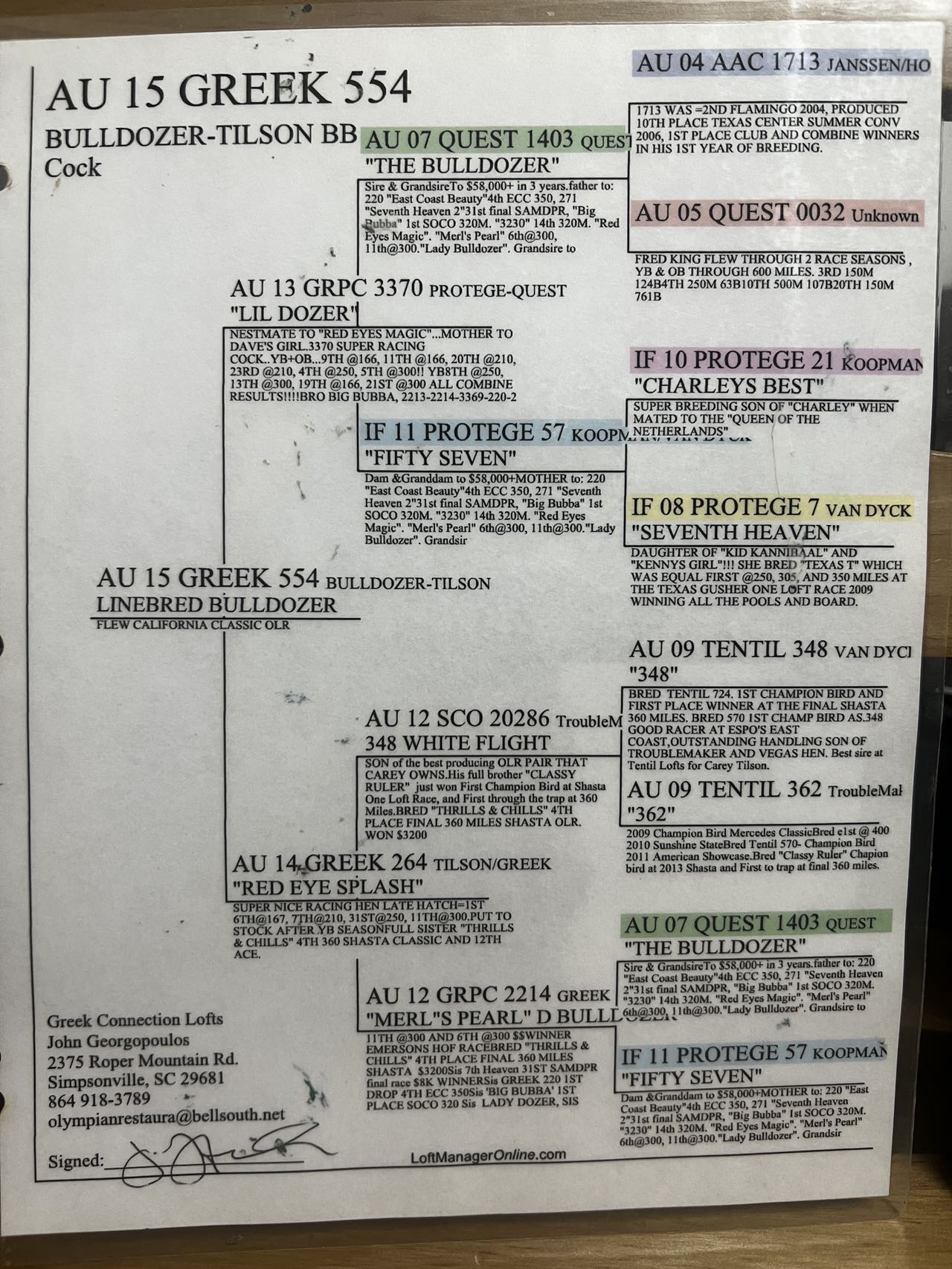iPigeon.com - Racing Pigeon Auction