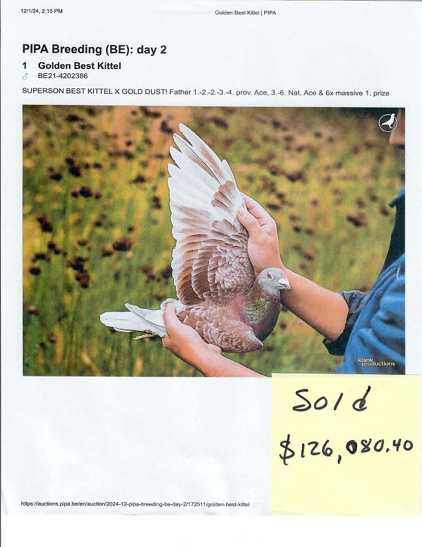 iPigeon.com - Racing Pigeon Auction