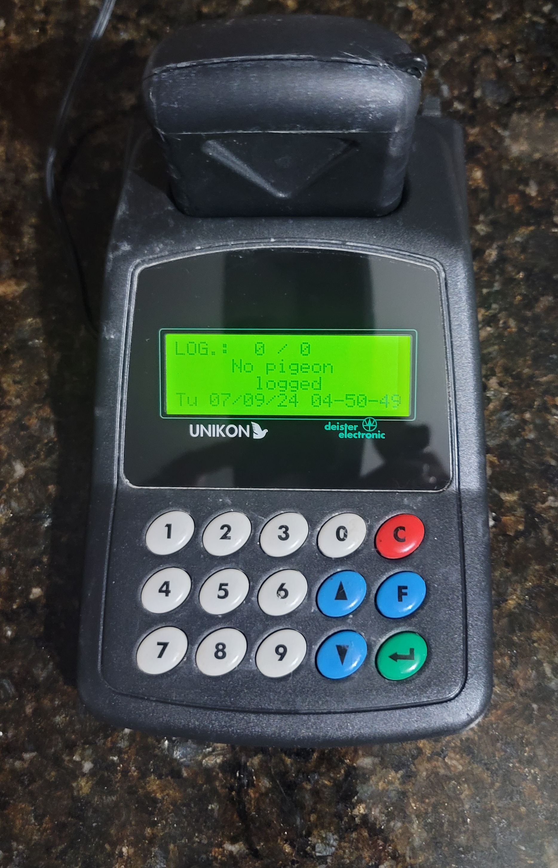 iPigeon.com - Racing Pigeon Auction