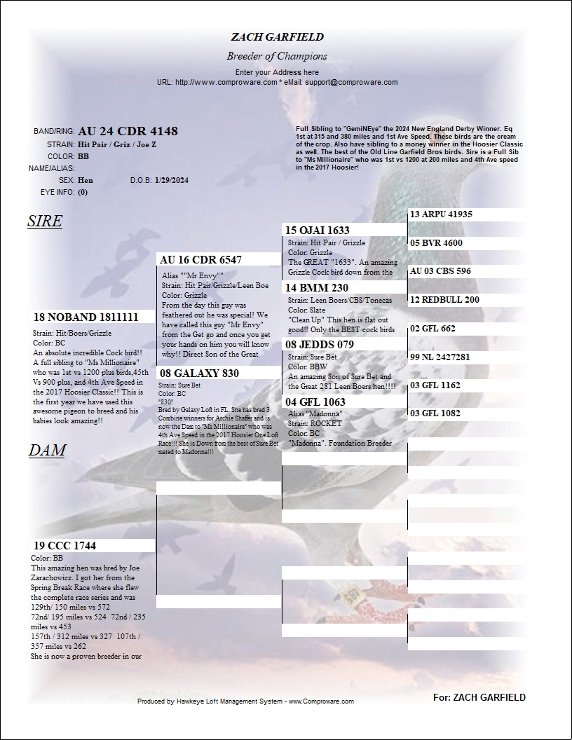 iPigeon.com - Racing Pigeon Auction