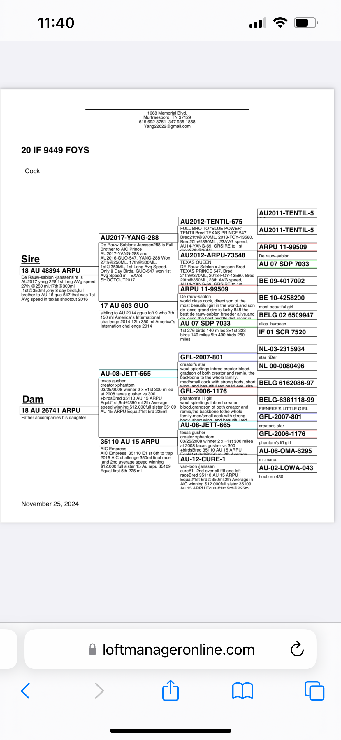 iPigeon.com - Racing Pigeon Auction