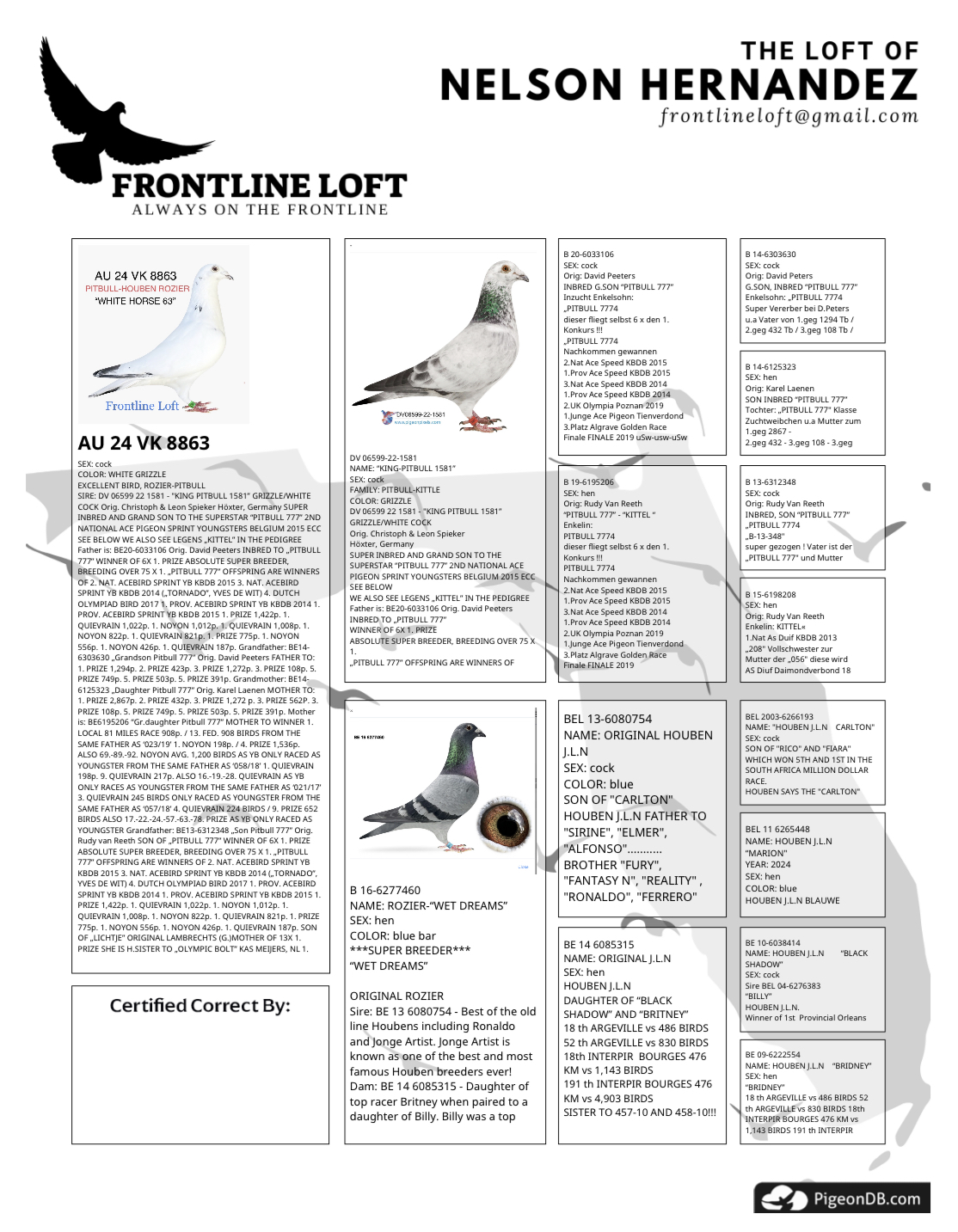 iPigeon.com - Racing Pigeon Auction