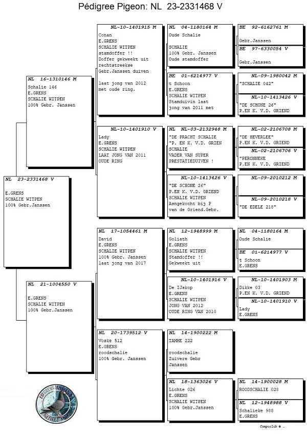 iPigeon.com - Racing Pigeon Auction