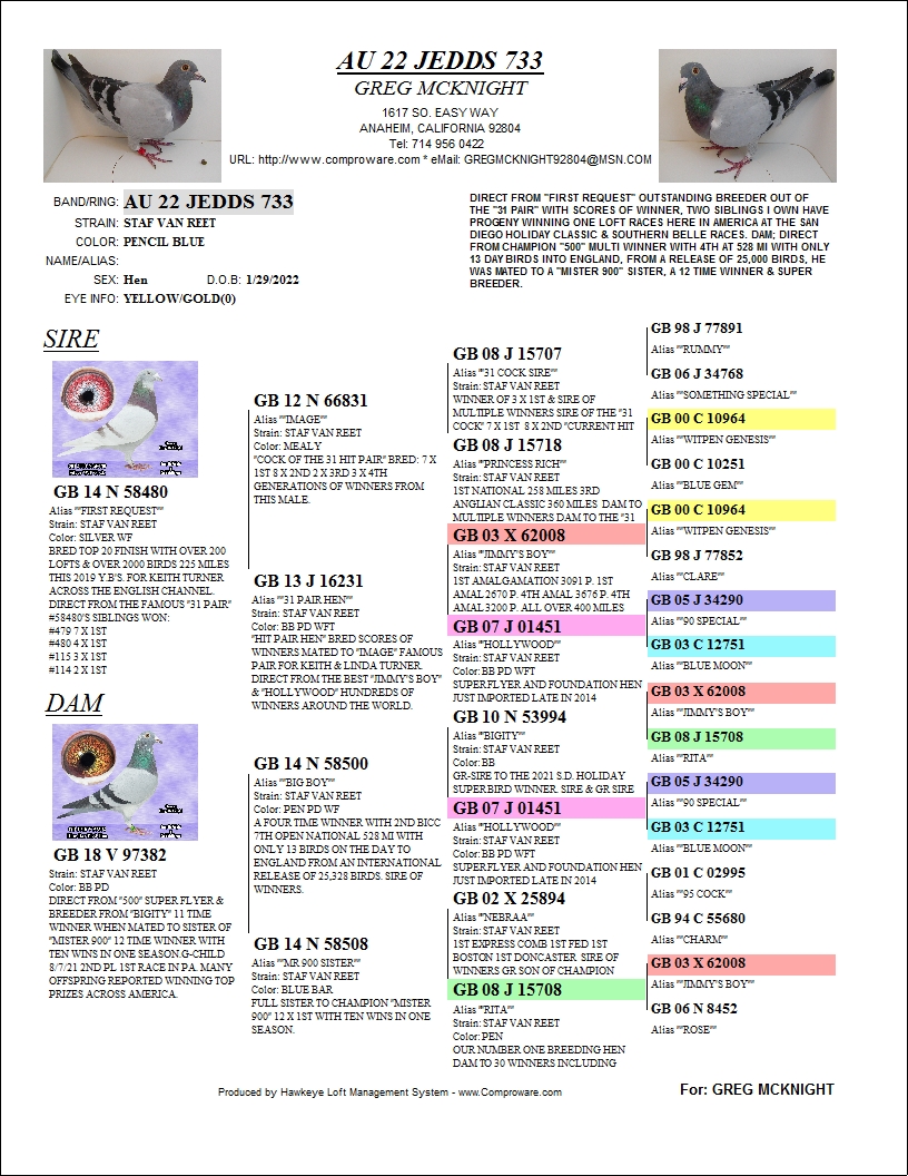 iPigeon.com - Racing Pigeon Auction