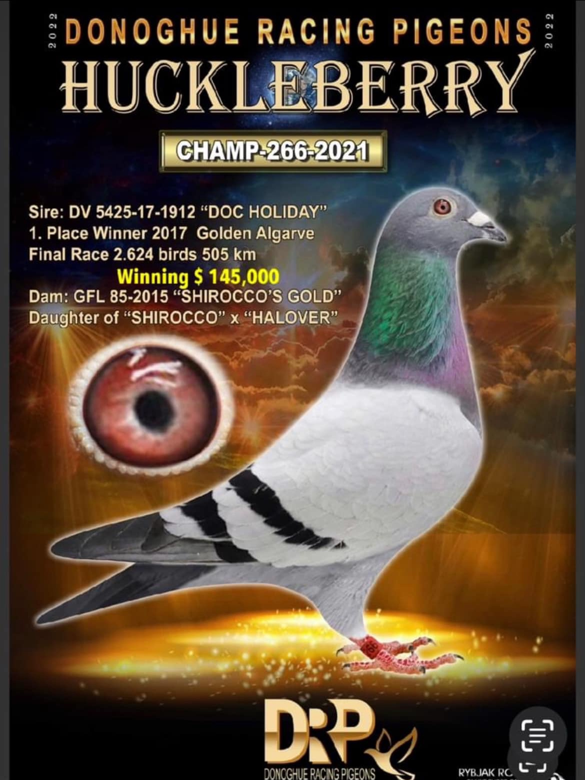 iPigeon.com - Racing Pigeon Auction